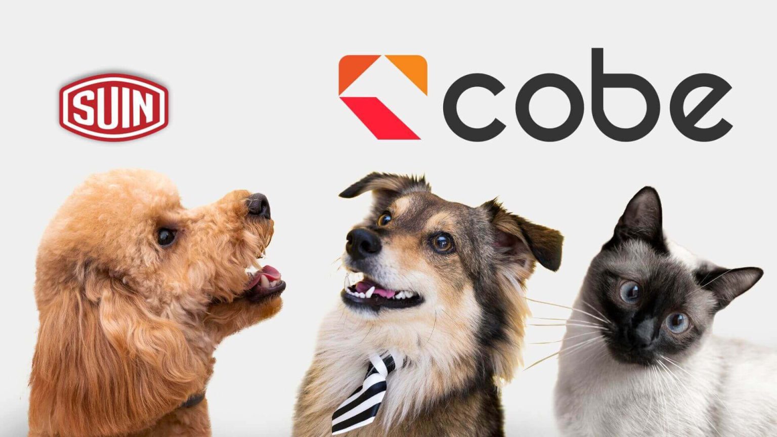 Portal Suin – Suin – Industrial Agrícola Suin